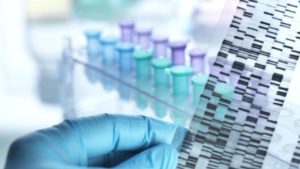 The Process - Fake Paternity Test Results | Fake DNA Test Results